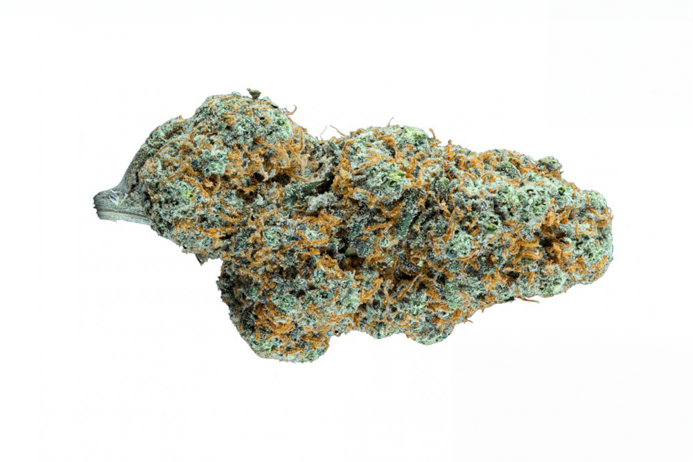 Plutonium - Une Révolution dans le Monde du CBD | Fleurs de CBD Suisse – Suisse CBD